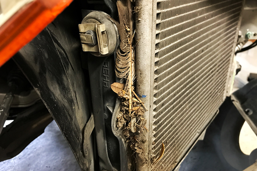 Guide to Buying a Used Porsche Boxster - Open Road